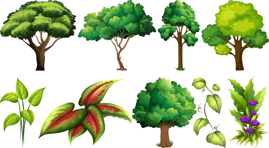 Cartoon trees and bushes green plants Royalty Free Vector