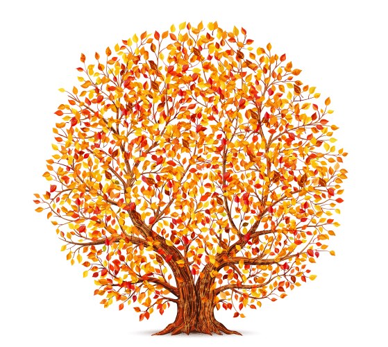 Family tree template Royalty Free Vector Image