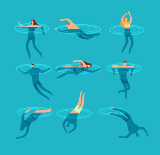 People swims in swimming pool performing water Vector Image