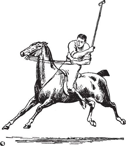 Polo Vector Images (over 18,000)