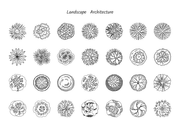 Tree Plan Vector Images (over 10,000)
