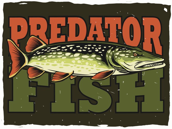 Catfish Royalty Free Vector Image - VectorStock