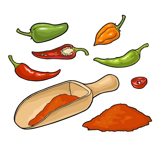 Chilli Vector Images (over 20,000)
