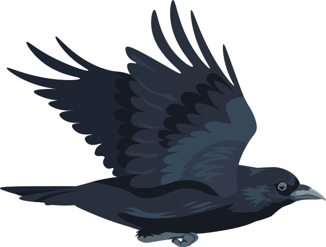 Large black bird crow cawing or squawking Vector Image