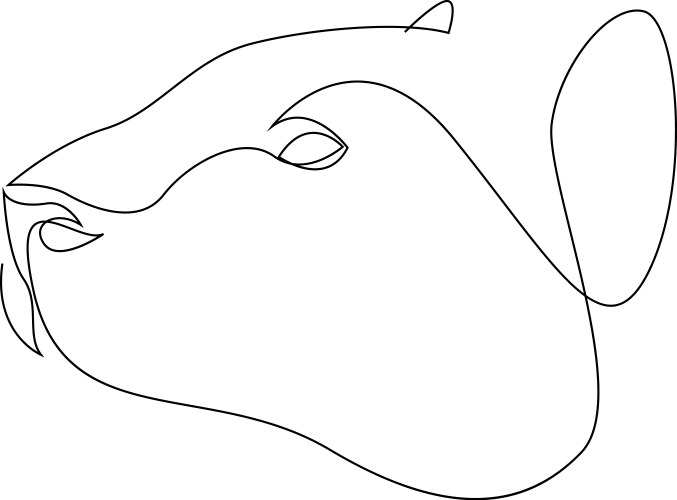 Puma lioness jaguar head line art drawing Vector Image