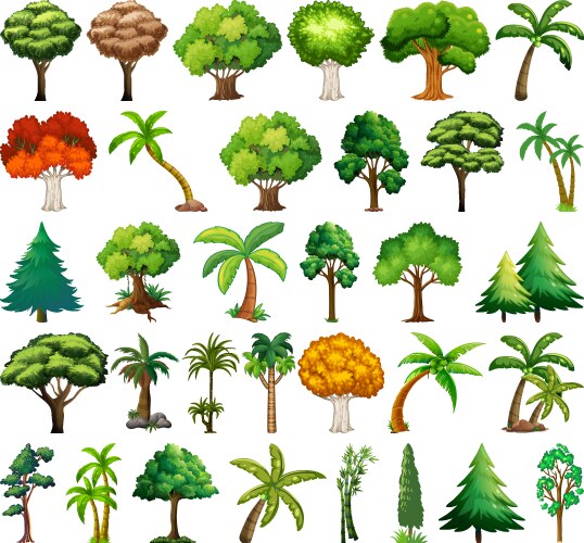 Collection of tropical trees palms and other Vector Image