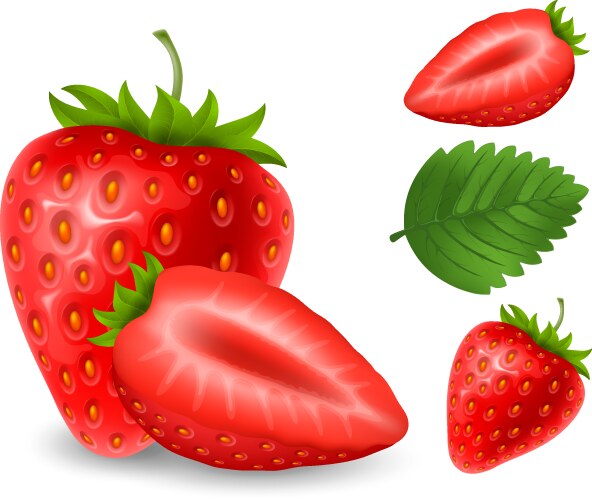 Realistic isolated strawberries Royalty Free Vector Image