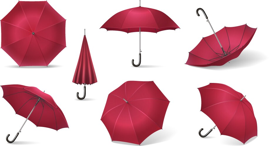 Umbel Vector Images (over 400)