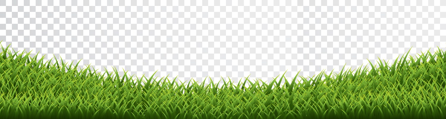 Green grass border set on transparent background Vector Image
