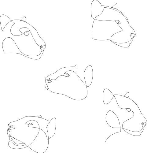 Puma lioness jaguar head line art drawing Vector Image