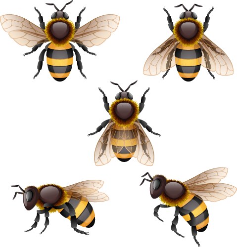 Bee Vector Images (over 94,000)