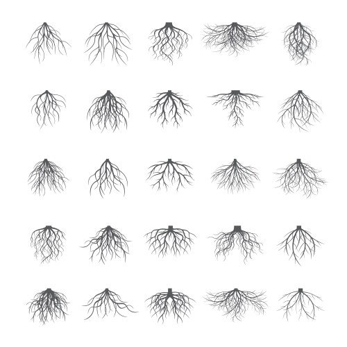 Tree roots set Royalty Free Vector Image - VectorStock