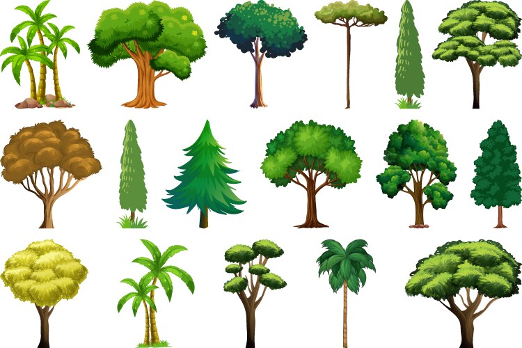 Cartoon trees set Royalty Free Vector Image - VectorStock