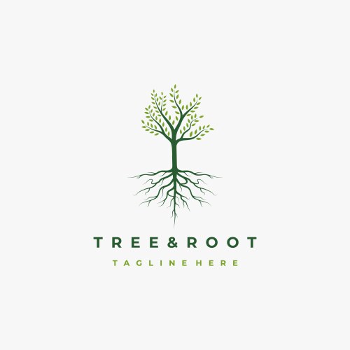 Banyan tree logo icon Royalty Free Vector Image