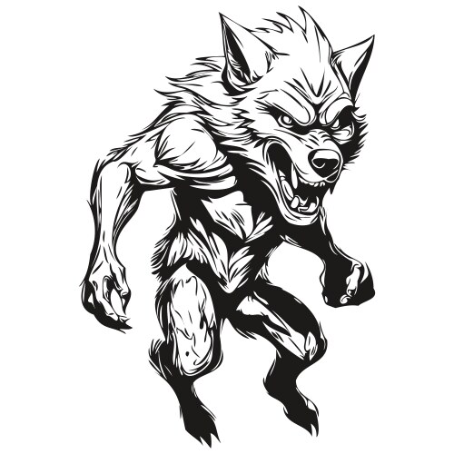 Werewolf on white Royalty Free Vector Image - VectorStock