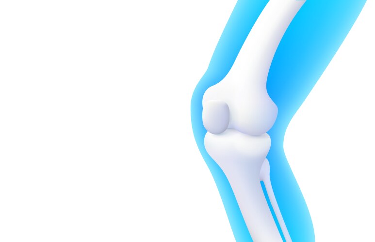 Joint Vector Images (over 54,000)