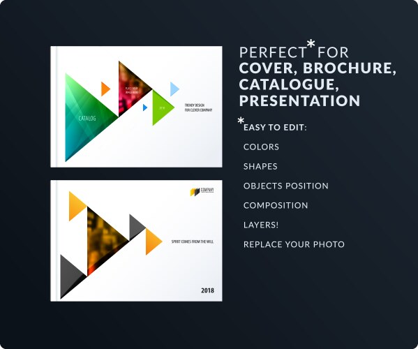 Triangular design presentation template Royalty Free Vector