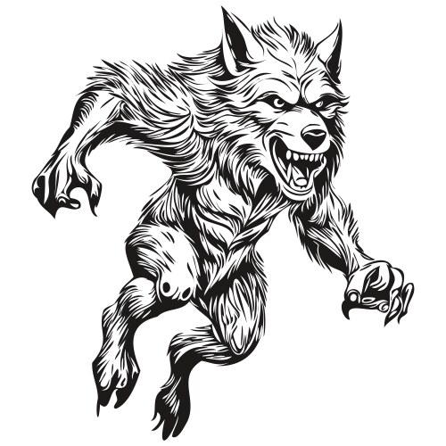 Werewolf on white Royalty Free Vector Image - VectorStock