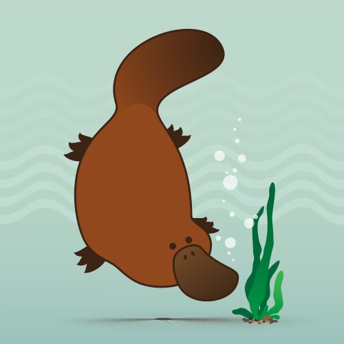 Cartoon platypus isolated on white background Vector Image