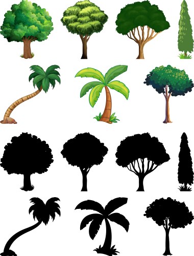 Parts of a plant Royalty Free Vector Image - VectorStock