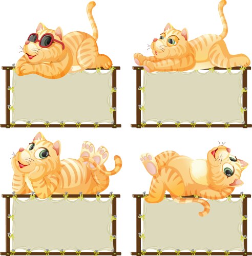 Blank sign template with cute cat on white Vector Image