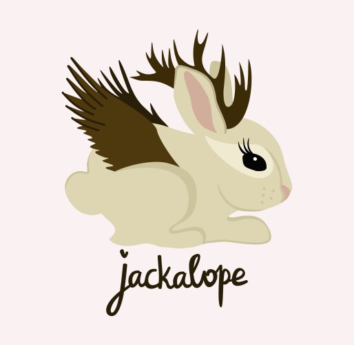Jackalope Vector Images (50)