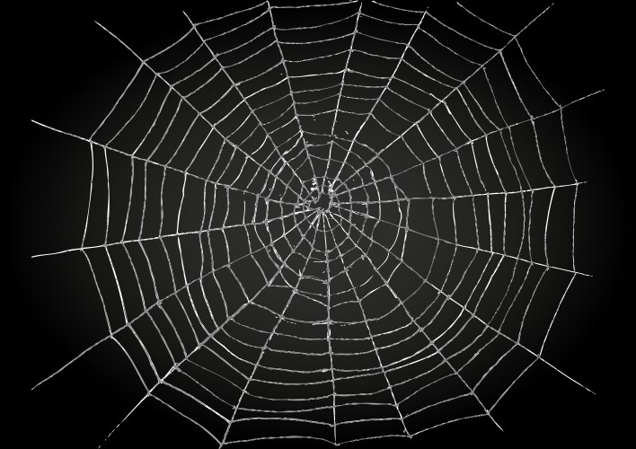 White spiderweb with spiders on transparent Vector Image