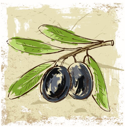 Olive Tree Vector Images (over 250,000)
