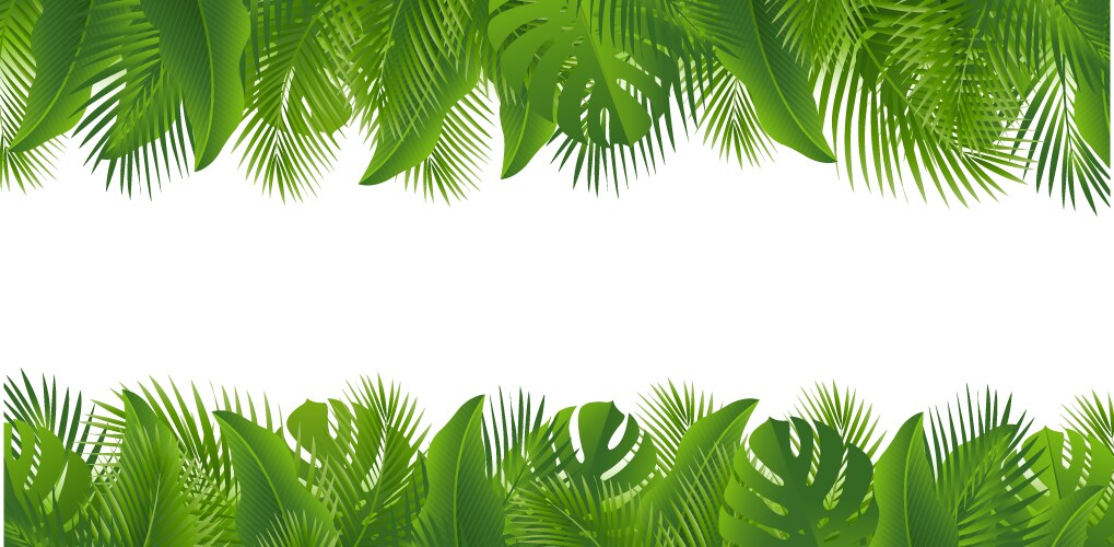 Vector De Palmera Simple Grote Bladeren Afbeeldingen PNG | Vector En
