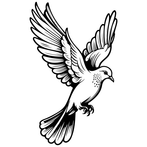 Dove Line Drawing Vector Images (over 5,700)