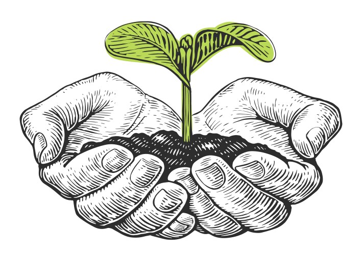 Hand Holding Plant Vector Images (over 11,000)