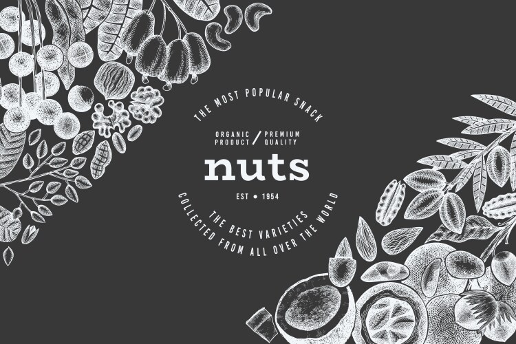 Hand drawn nuts branch and kernels template Vector Image