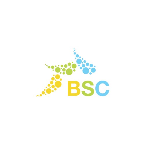 Bsc Logo Vector Images (52)