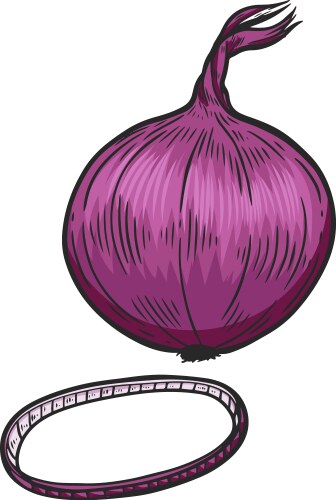 Onions and rings line drawing Royalty Free Vector Image