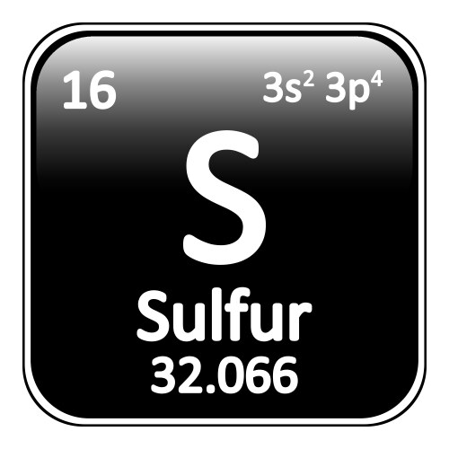 Periodic table element surfur icon Royalty Free Vector Image