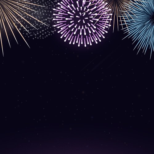 Colorful fireworks on night sky background Vector Image