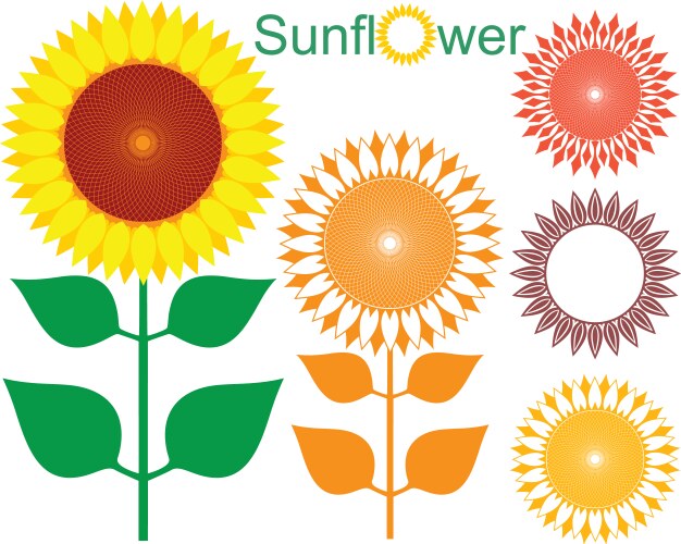 Sunflower Vector Images (over 44,000)