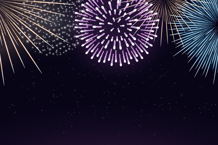 Colorful fireworks on night sky background Vector Image