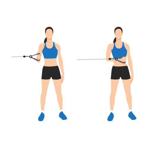 Woman doing external cable shoulder rotation Vector Image