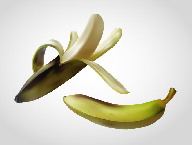 Banana Royalty Free Vector Image - VectorStock