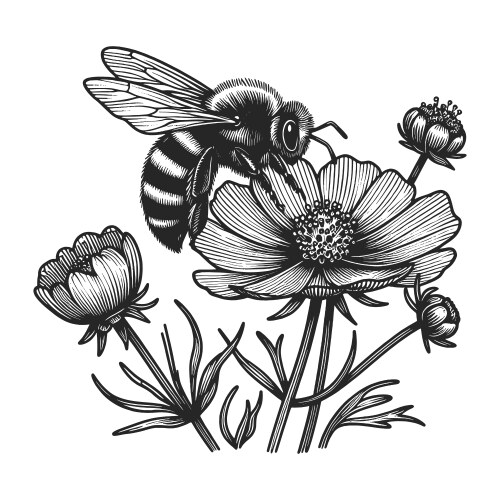 Bee Line Drawing Vector Images (over 6,400)