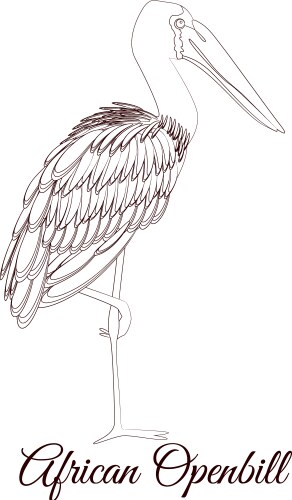 Brolga stork outline coloring bird Royalty Free Vector Image