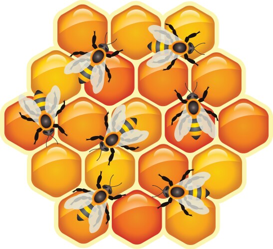 Worker Bee Vector Images (over 5,800)