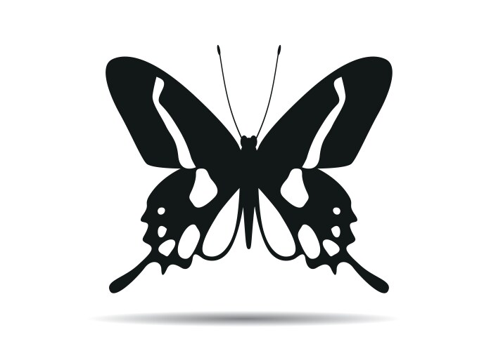 Butterfly silhouette cartoon outline insect Vector Image Butterfly silhouette cartoon outline insect Vector Image