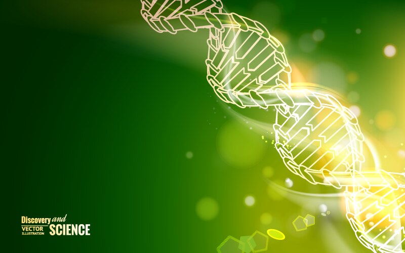 Chain Vector Images (over 180,000)