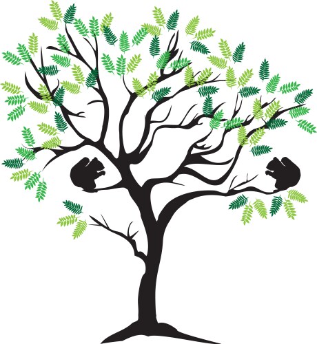 Squirrel Outline Vector Images (over 4,000)