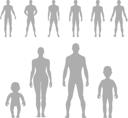 Body Outline Front Back Vector Images (over 10,000)