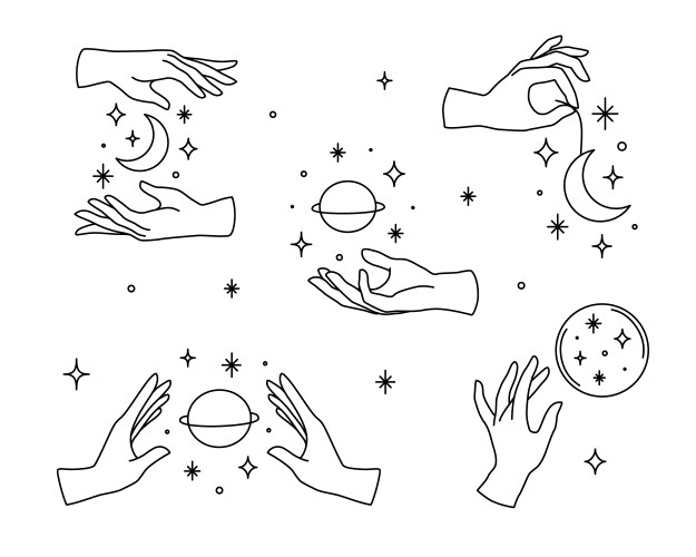 Female hands line outline elegant woman hand Vector Image