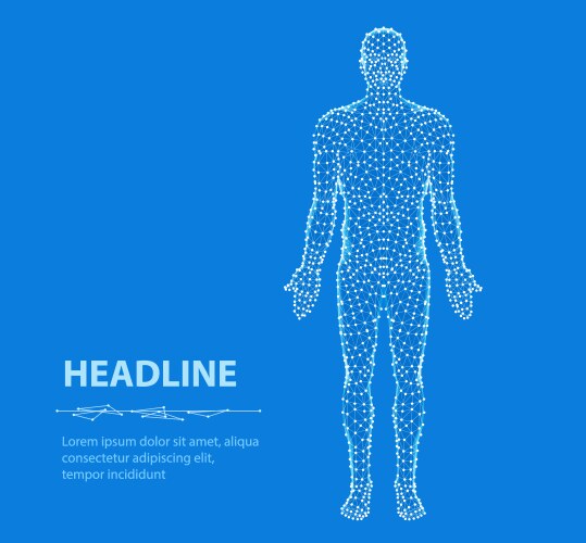 Human body abstract digital anatomy Royalty Free Vector