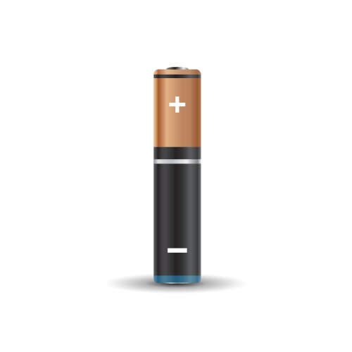 Realistic alkaline battery icon in flat style Vector Image